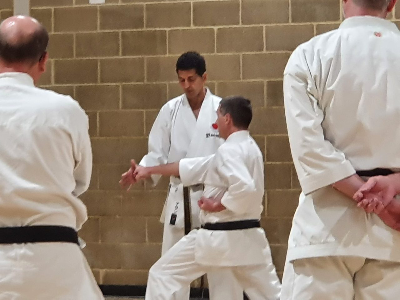 Harpenden Karate Grading - Harpenden JKA